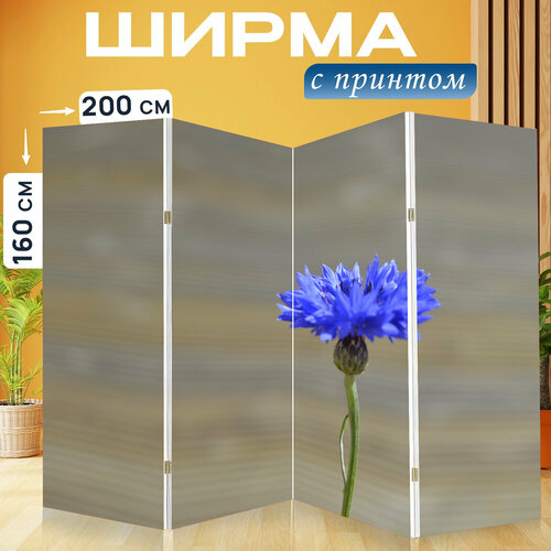 Ширма перегородка с принтом "Васильковый, цветок, цвести" на холсте - 200x160 см. для зонирования, раскладная