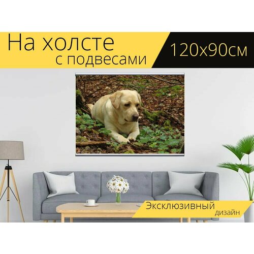 Картина на холсте "Лабрадор, собака, древесина" с подвесами 120х90 см. для интерьера
