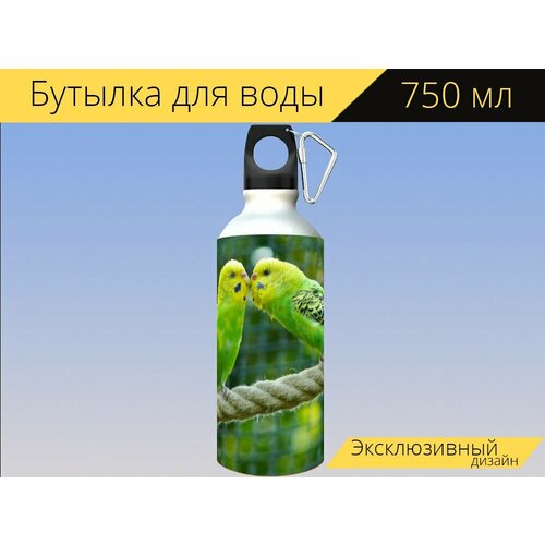 Бутылка фляга для воды "Волнистые попугаи, птицы, попугаи" 750 мл. с карабином и принтом