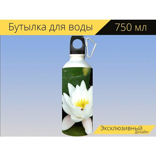 Бутылка фляга для воды "Цветок лотоса, цветок, божья коровка" 750 мл. с карабином и принтом