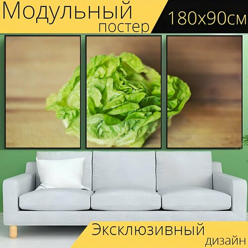 Модульный постер "Латук, овощ, зеленый" 180 x 90 см. для интерьера
