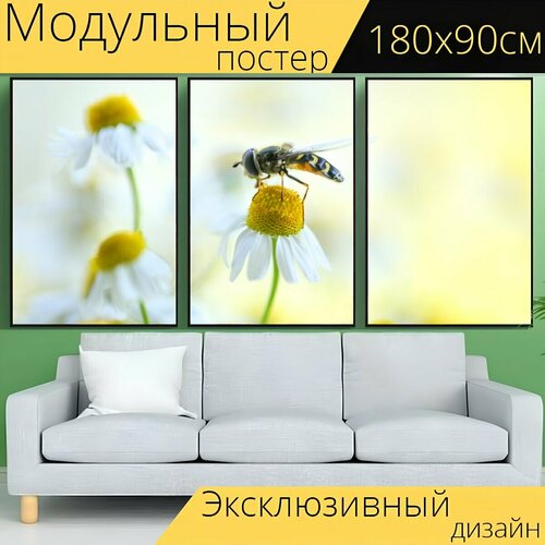 Модульный постер "Оса, пчела, летом" 180 x 90 см. для интерьера