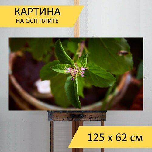 Картина на ОСП 125х62 см. "Индия, макрос, природа" горизонтальная, для интерьера, с креплениями