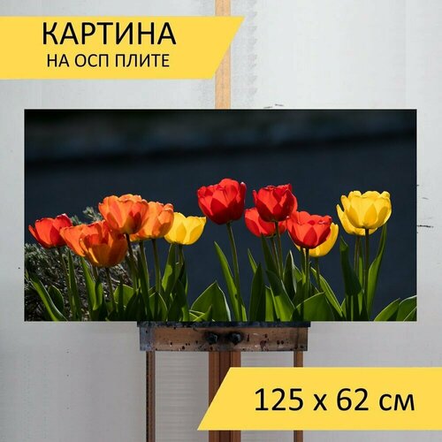 Картина на ОСП 125х62 см. "Тюльпаны, цветок, свет" горизонтальная, для интерьера, с креплениями