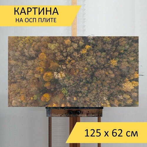 Картина на ОСП 125х62 см. "Воздуха, дрон, дерево" горизонтальная, для интерьера, с креплениями