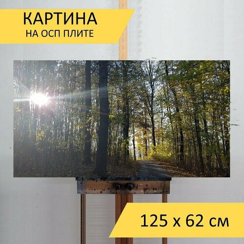 Картина на ОСП 125х62 см. "Солнце, лес, пейзаж" горизонтальная, для интерьера, с креплениями
