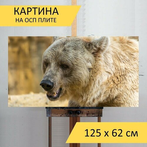 Картина на ОСП 125х62 см. "Нести, бурый медведь, млекопитающее" горизонтальная, для интерьера, с креплениями