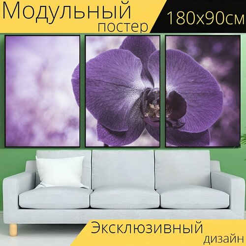 Модульный постер "Фиолетовый, цветок, орхидея" 180 x 90 см. для интерьера