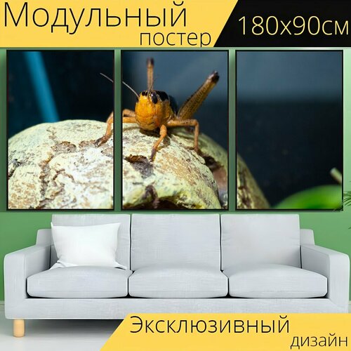 Модульный постер "Животное, фауна, насекомое" 180 x 90 см. для интерьера