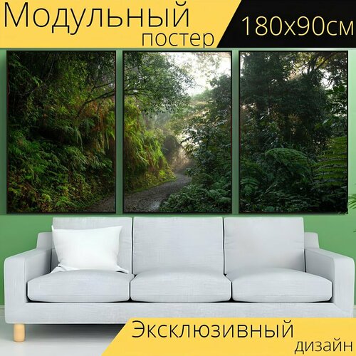 Модульный постер "Пейзаж, тропический лес, дорога" 180 x 90 см. для интерьера