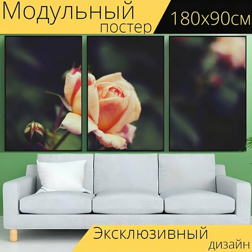 Модульный постер "Роуз, цветок, лепесток" 180 x 90 см. для интерьера