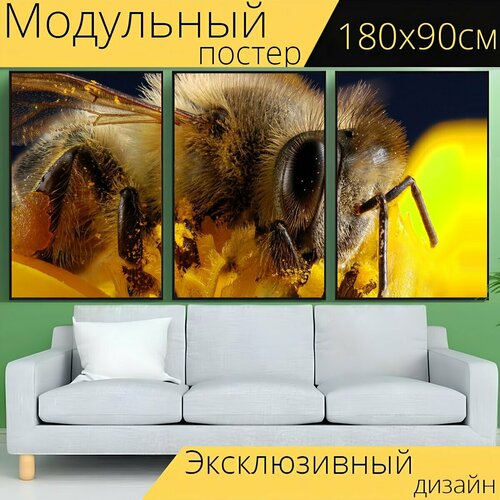 Модульный постер "Пчела, насекомое, пыльца" 180 x 90 см. для интерьера