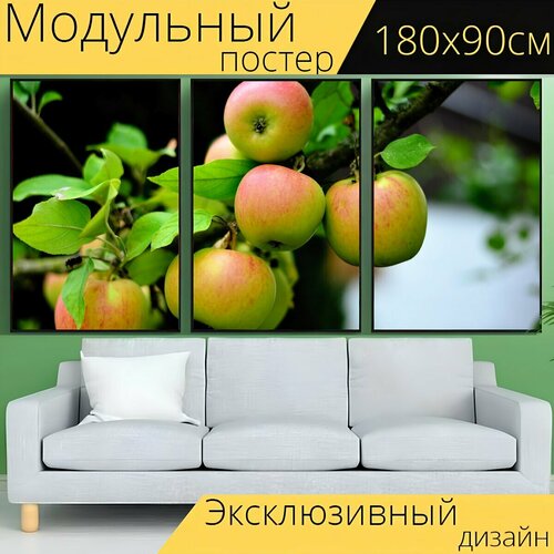 Модульный постер "Яблоки, золото, яблоня" 180 x 90 см. для интерьера