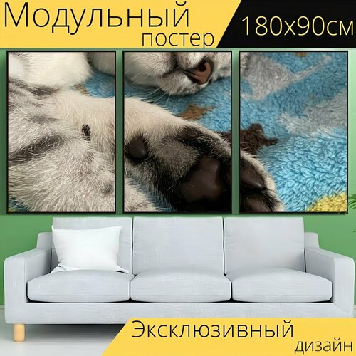 Модульный постер "Спящая кошка, кошачьи лапы" 180 x 90 см. для интерьера