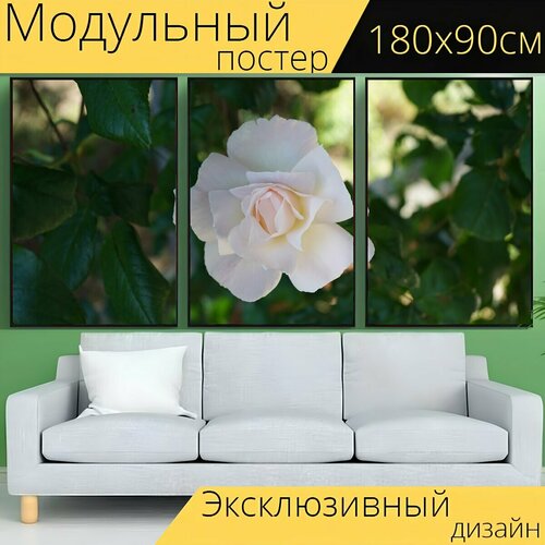 Модульный постер "Завод, цветок, флора" 180 x 90 см. для интерьера