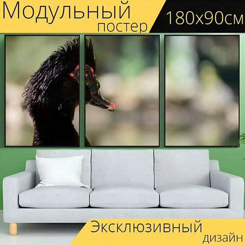 Модульный постер "Утка, животные, природа" 180 x 90 см. для интерьера