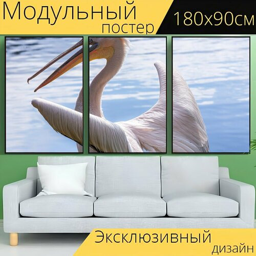 Модульный постер "Природа, животные, птица" 180 x 90 см. для интерьера