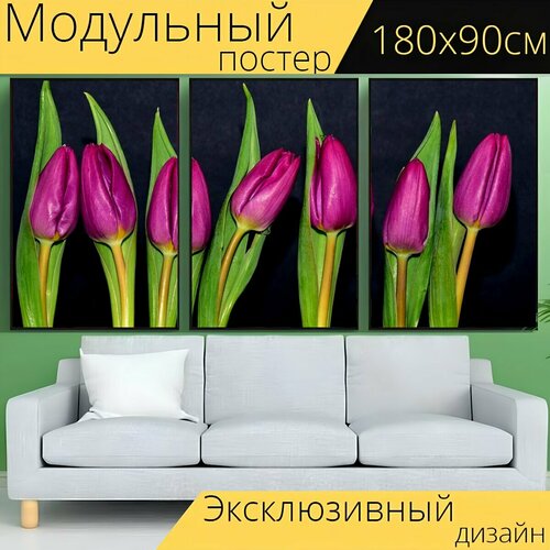 Модульный постер "Природа, цветок, тюльпан" 180 x 90 см. для интерьера