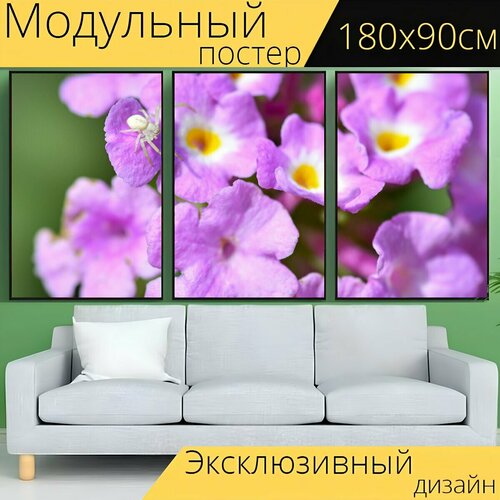 Модульный постер "Фиолетовые цветы, паук, белый паук" 180 x 90 см. для интерьера
