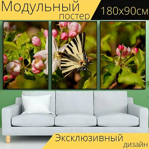 Модульный постер "Бабочка, клон, весна" 180 x 90 см. для интерьера