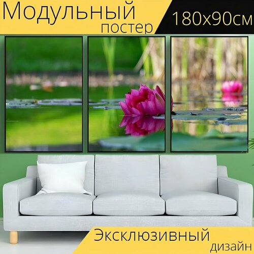 Модульный постер "Водяная лилия, цветок, цвести" 180 x 90 см. для интерьера