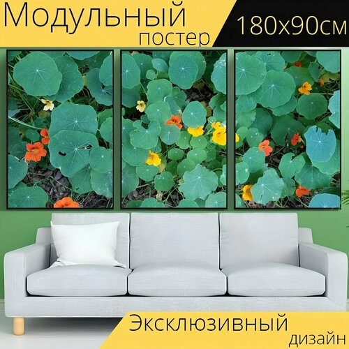 Модульный постер "Цветы, зеленые листья, летом" 180 x 90 см. для интерьера