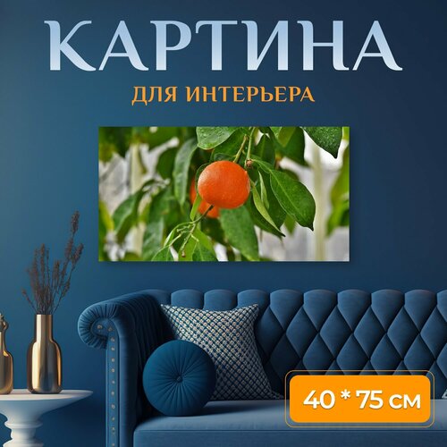 Картина на холсте "Апельсин, оранжевый, апельсиновое дерево" на подрамнике 75х40 см. для интерьера