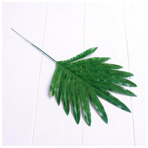 Страна Карнавалия Лист искусственный Пальма, 40 × 17 см 1 зеленый 40 см 17 см