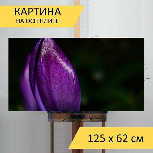 Картина на ОСП 125х62 см. "Крокус, цветок, весна" горизонтальная, для интерьера, с креплениями