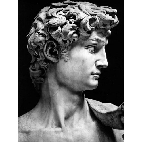Плакат, постер на холсте David/Давид-статуя Микеланджело/искусство/арт/абстракция/творчество. Размер 42 х 60 см