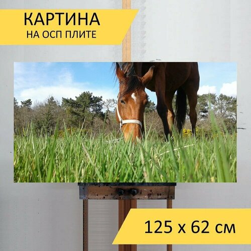 Картина на ОСП 125х62 см. "Лошадь рысак, лошадь, около" горизонтальная, для интерьера, с креплениями