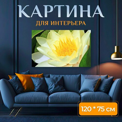 Картина на холсте "Водяная лилия, кубышка жёлтая, водное растение" на подрамнике 120х75 см. для интерьера