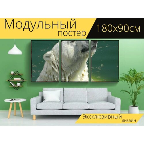 Модульный постер "Белый, медведь, животные" 180 x 90 см. для интерьера