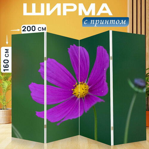 Ширма перегородка с принтом "Цветок, фиолетовый цветок, блум" на холсте - 200x160 см. для зонирования, раскладная