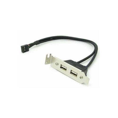 Планка портов низкопрофильная 2 x USB 2.0 (Type-A) | ORIENT C026