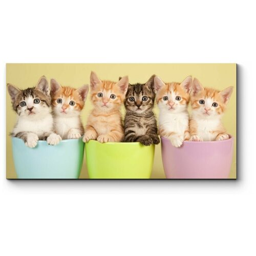 Модульная картина 6 милых котят 40x20