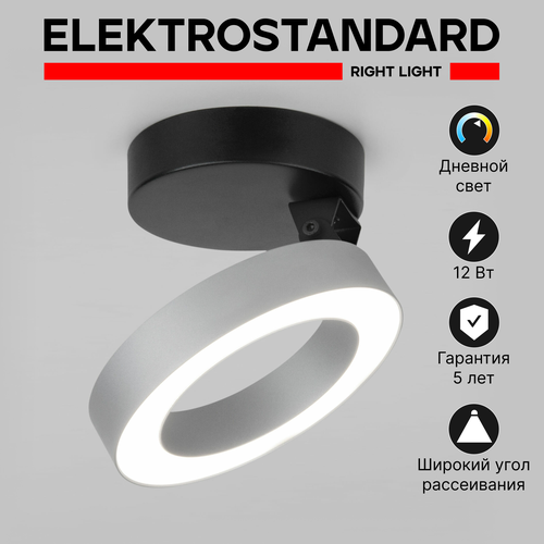 Спот / Накладной светодиодный светильник с поворотным механизмом Elektrostandard Spila 25105/LED, 4200 К, 12 Вт, цвет серебро