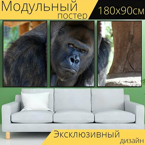 Модульный постер "Животное, горилла, погрузчик" 180 x 90 см. для интерьера