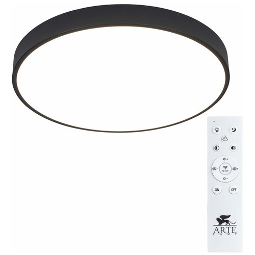 Потолочный светильник Arte Lamp Arena A2672PL-1BK, E27, 70 Вт, кол-во ламп: 1 шт., цвет: черный