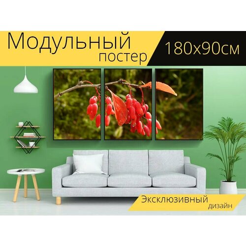 Модульный постер "Падение, ягода, золотая осень" 180 x 90 см. для интерьера