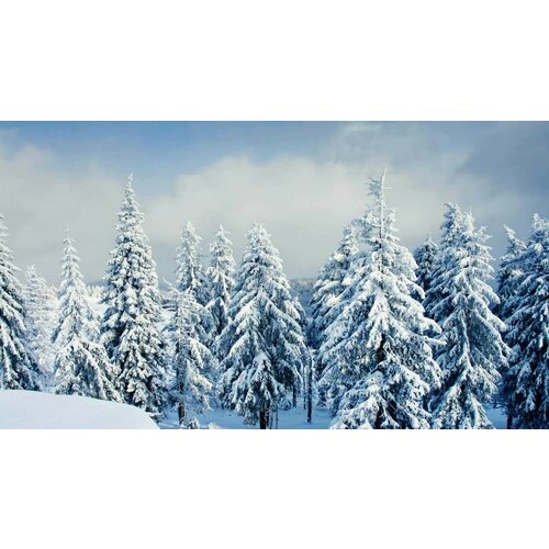 Картина на холсте 60x110 Альянс Лес "Елки в снегу зимний пейзаж" на подрамнике / интерьер/ декор