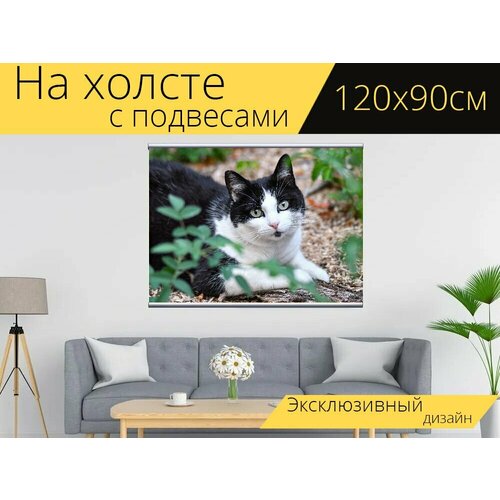 Картина на холсте "Кошка, кошачий, домашний питомец" с подвесами 120х90 см. для интерьера