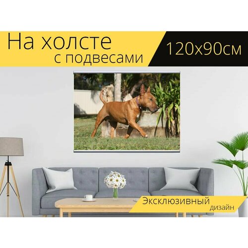 Картина на холсте "Собака, миниатюра, бультерьер" с подвесами 120х90 см. для интерьера