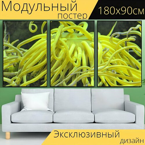 Модульный постер "Коралл, жёлтый, аквариум" 180 x 90 см. для интерьера