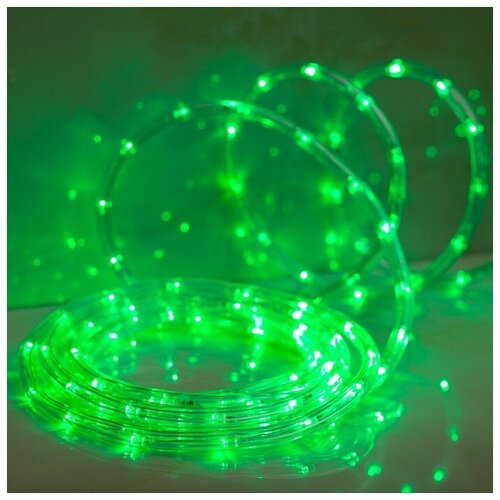 LED шнур 10 мм, круглый, 5 м, чейзинг, 2W-LED/м-24-220V, с контр. 8р, зеленый
