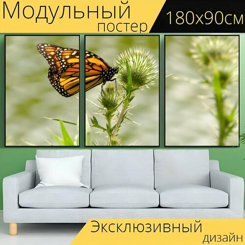 Модульный постер "Бабочка, монарх, насекомое" 180 x 90 см. для интерьера