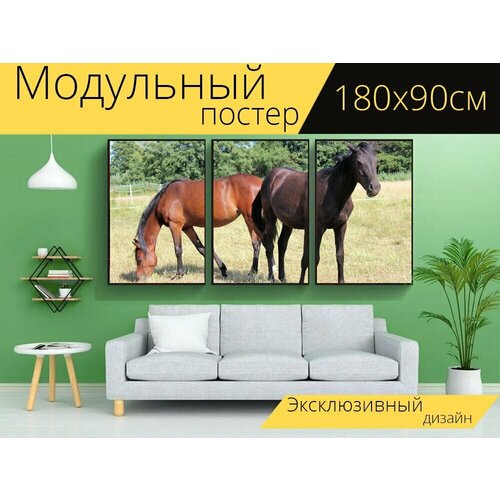 Модульный постер "Лошадь, понни, жеребенок" 180 x 90 см. для интерьера
