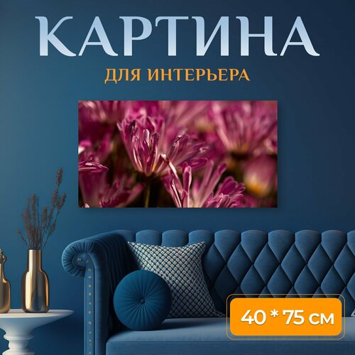 Картина на холсте "Хризантема, цветы, завод" на подрамнике 75х40 см. для интерьера