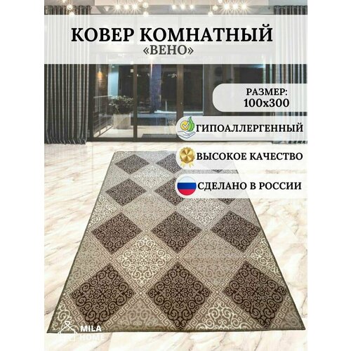 Ковёр с ворсом для комнаты 100х300 см