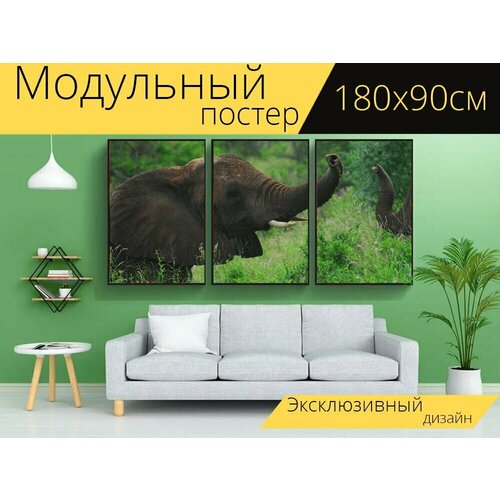 Модульный постер "Час земли, слоны, пустыня" 180 x 90 см. для интерьера